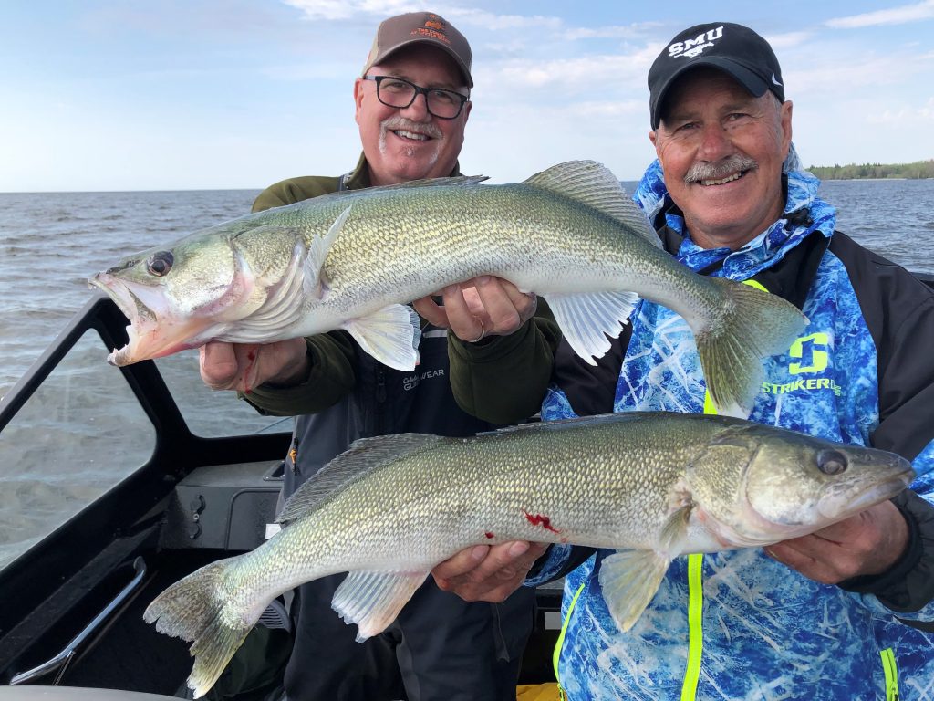 Lake Winnipeg Walleye fishing srping summer fall selkirk winnipeg