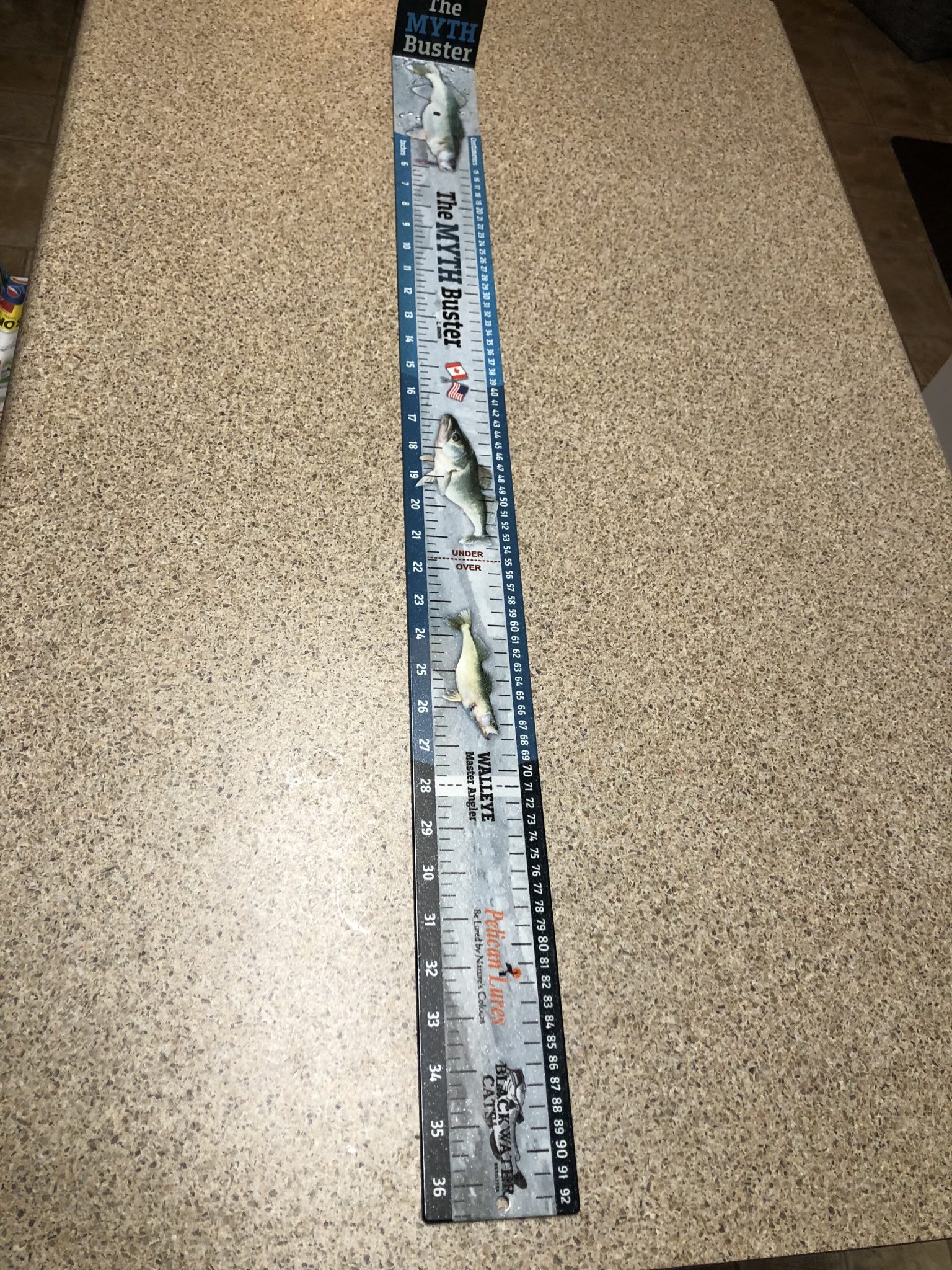 The Mythbuster 36" Bump Board - Blackwater Cats