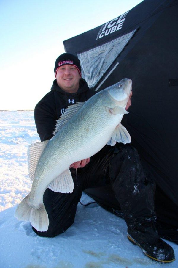 Lake Winnipeg Ice Fishing guide trophy Greenback walleye selkirk
